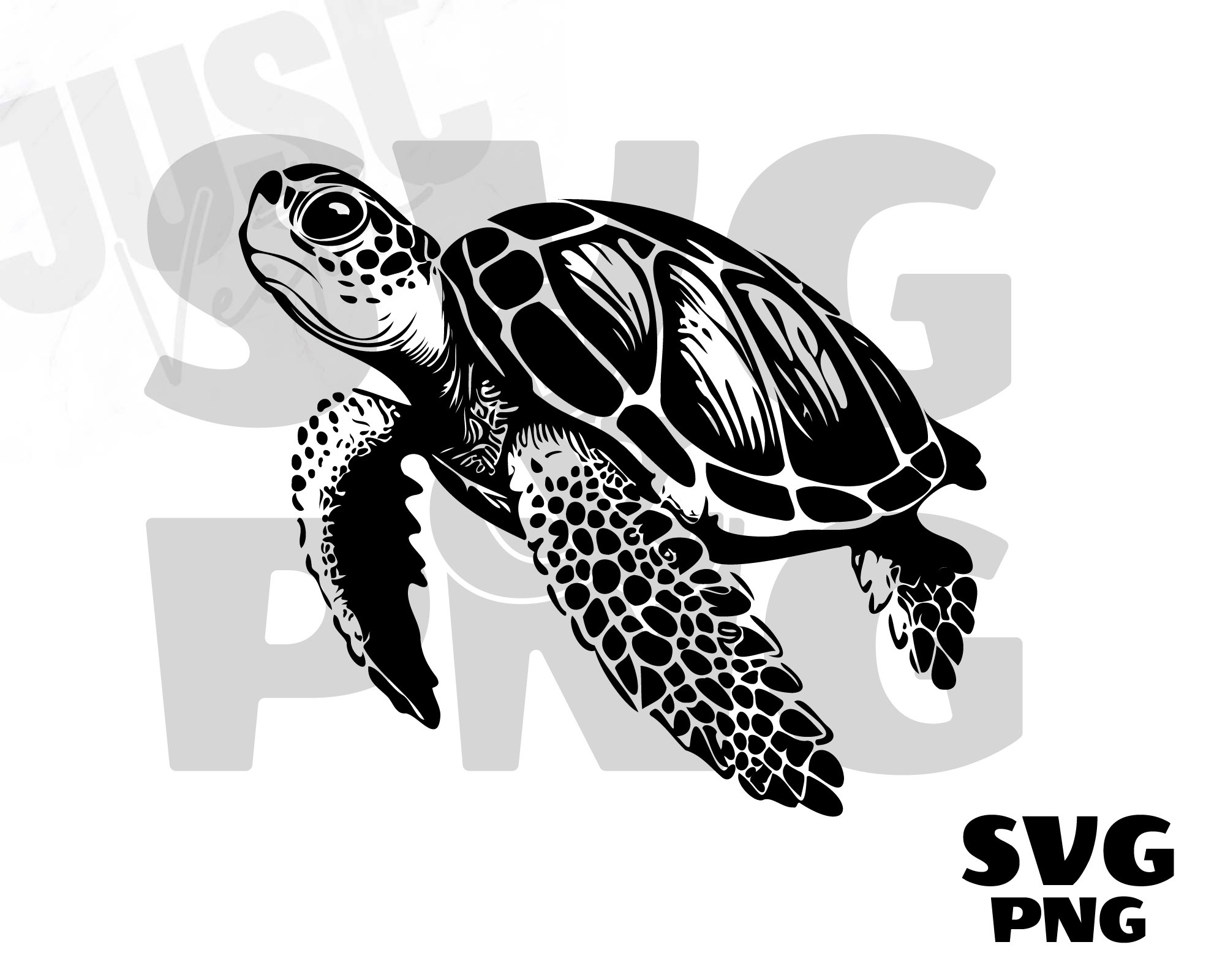 Turtle Svg, Sea Turtle Svg, Bundle SVG, Simple Turtle Svg, Sea Turtle ...