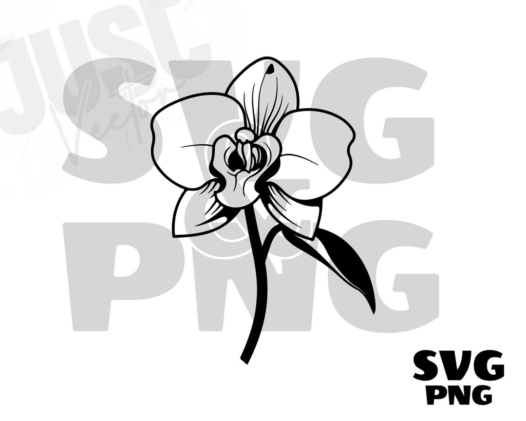 Orchid Flower SVG, Orchid SVG, Flower Svg, Orchid Flower Clipart ...