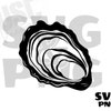 Oyster Shells - Etsy