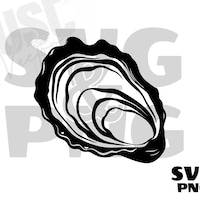 Oyster Shells - Etsy