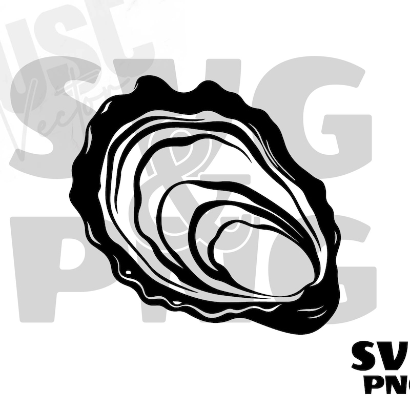 Shell Svg - Etsy