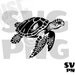 Turtle Svg, Sea Turtle Svg, Bundle SVG, Simple Turtle Svg, Sea Turtle ...