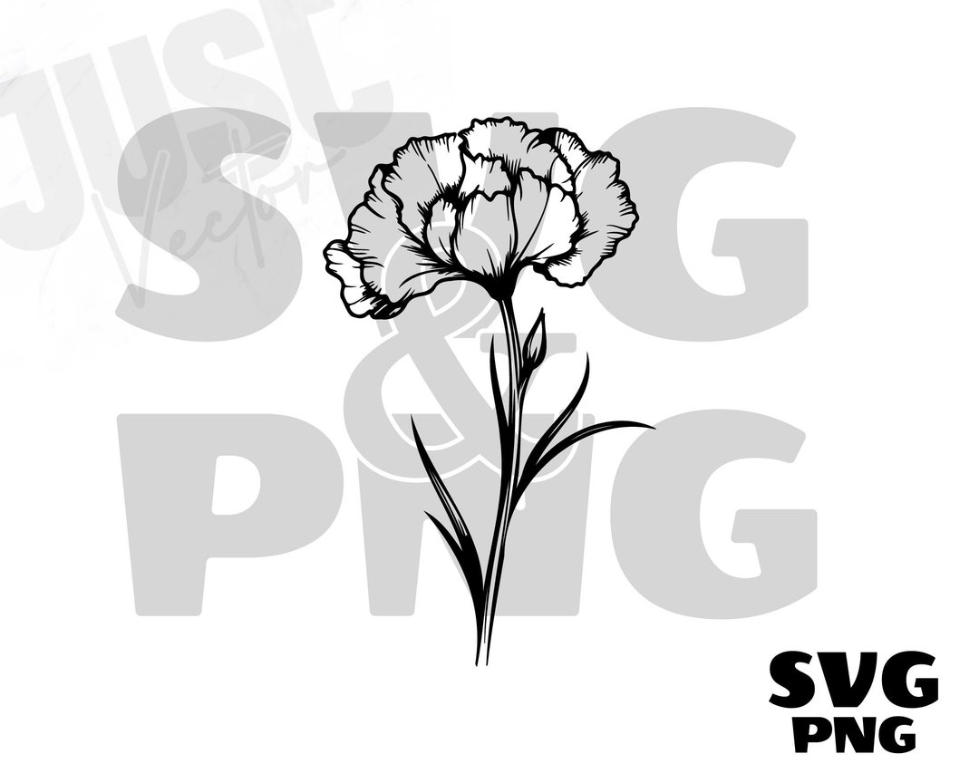 Carnation Flower SVG, Carnation Flower Clipart, Carnation Flower ...