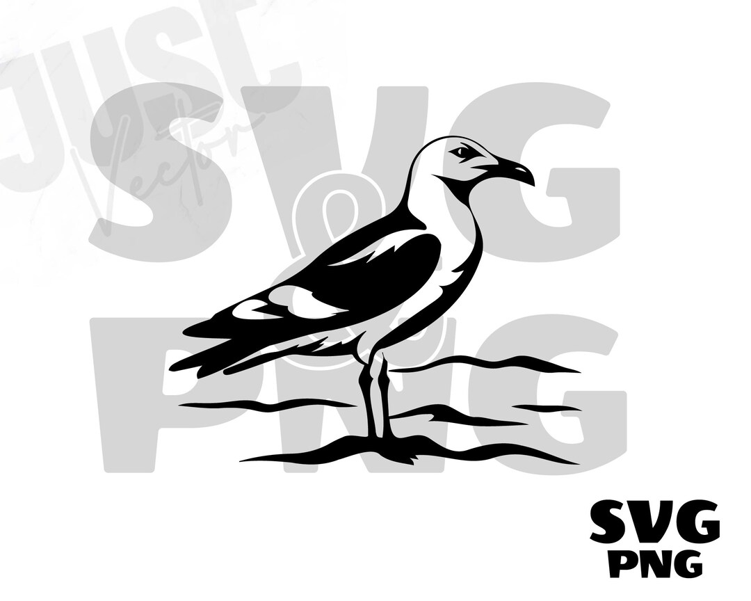 Kelp Gull Svg, Seabird Gull Svg, Seagull SVG, Seagull Clipart, Seagull ...