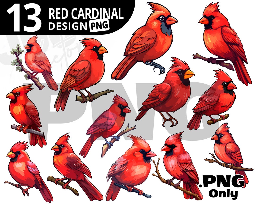 Red Cardinal PNG, Red Cardinal Bird, Cute Colorful Bird PNG, Cardinals ...