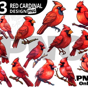 Red Cardinal PNG, Red Cardinal Bird, Cute Colorful Bird PNG, Cardinals ...