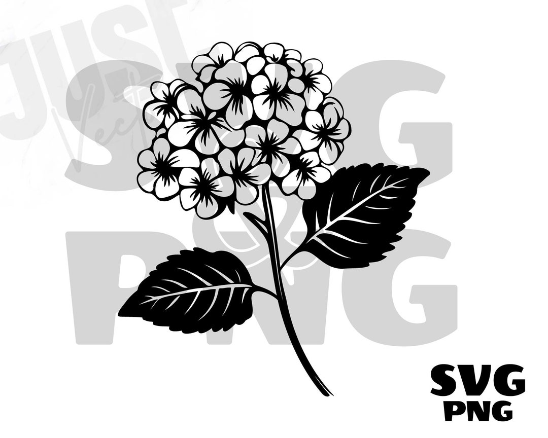 Hydrangea SVG, Hydrangea Flower SVG, Flower Cut Files, Flower Clipart ...