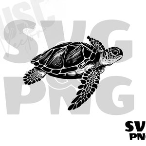 Turtle Svg, Sea Turtle Svg, Bundle SVG, Simple Turtle Svg, Sea Turtle ...