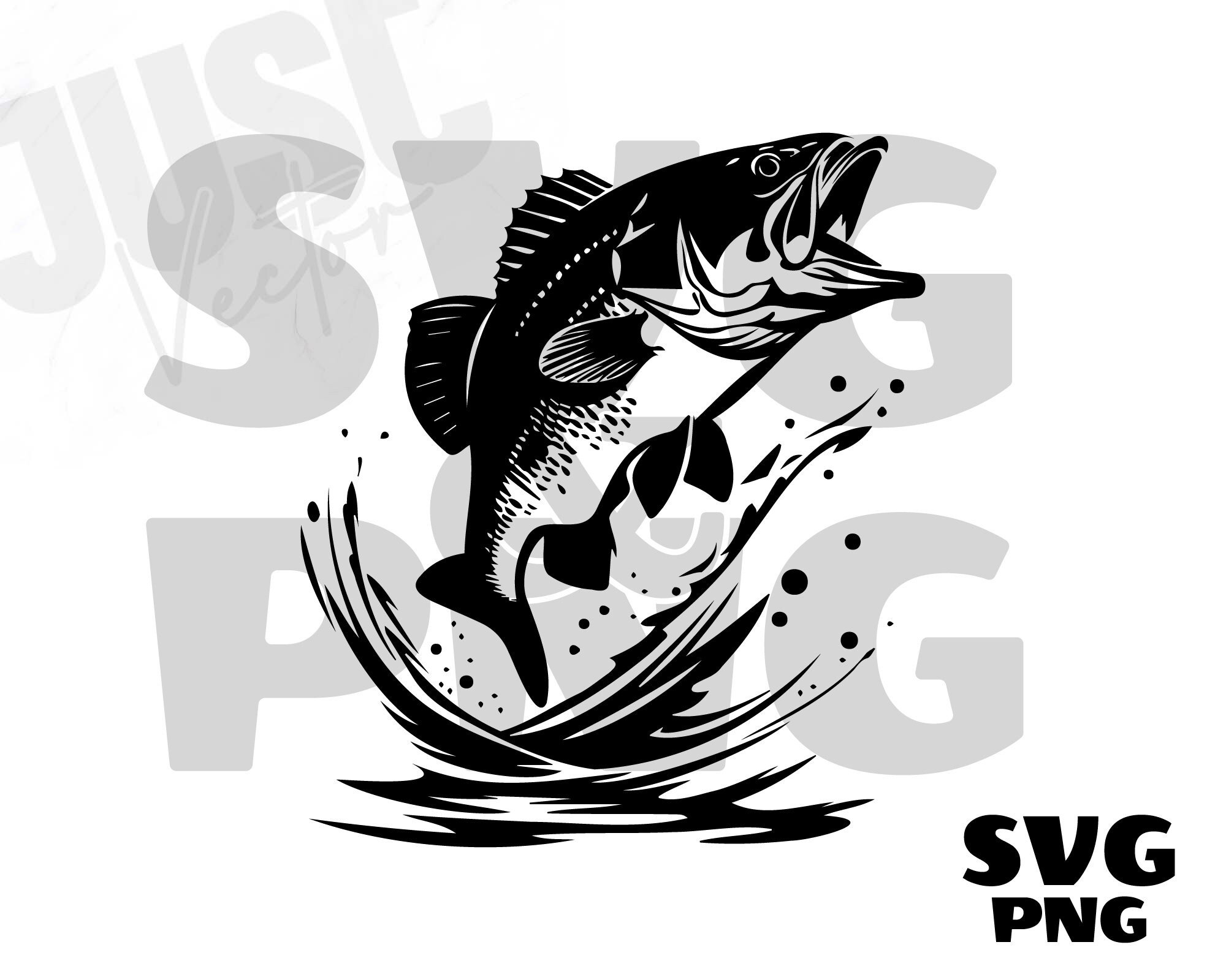 Large Bass Fish, Bass Fish, Large Bass Fish in the Mount Jumping From ...