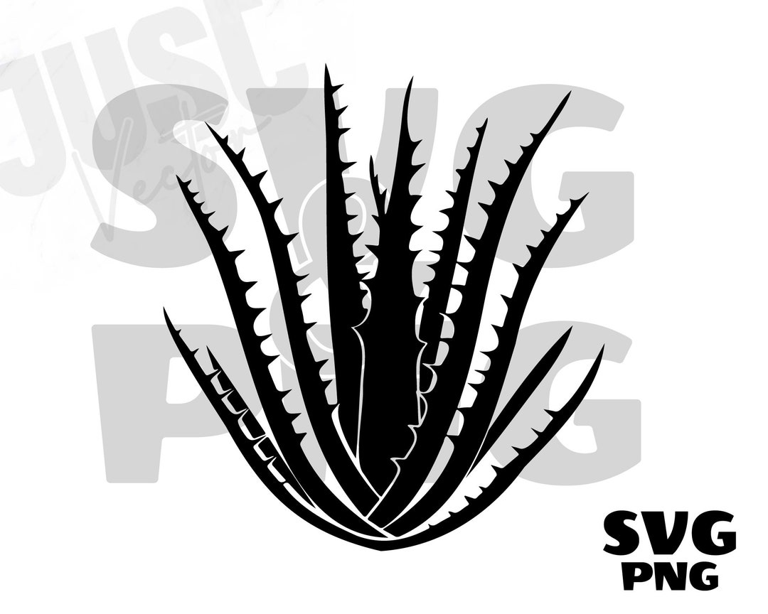 Aloe Vera SVG, Aloe Vera Clipart, Aloe Vera Silhouette, Aloe Vera ...