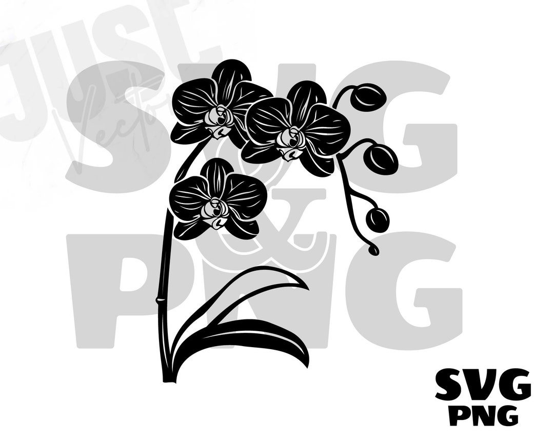 Orchid Flower SVG, Orchid SVG, Flower Svg, Orchid Flower Clipart ...