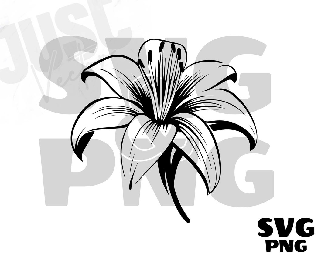 Lily Flower SVG, Lily SVG, Flower Svg, Lily Flower Clipart, Lily ...