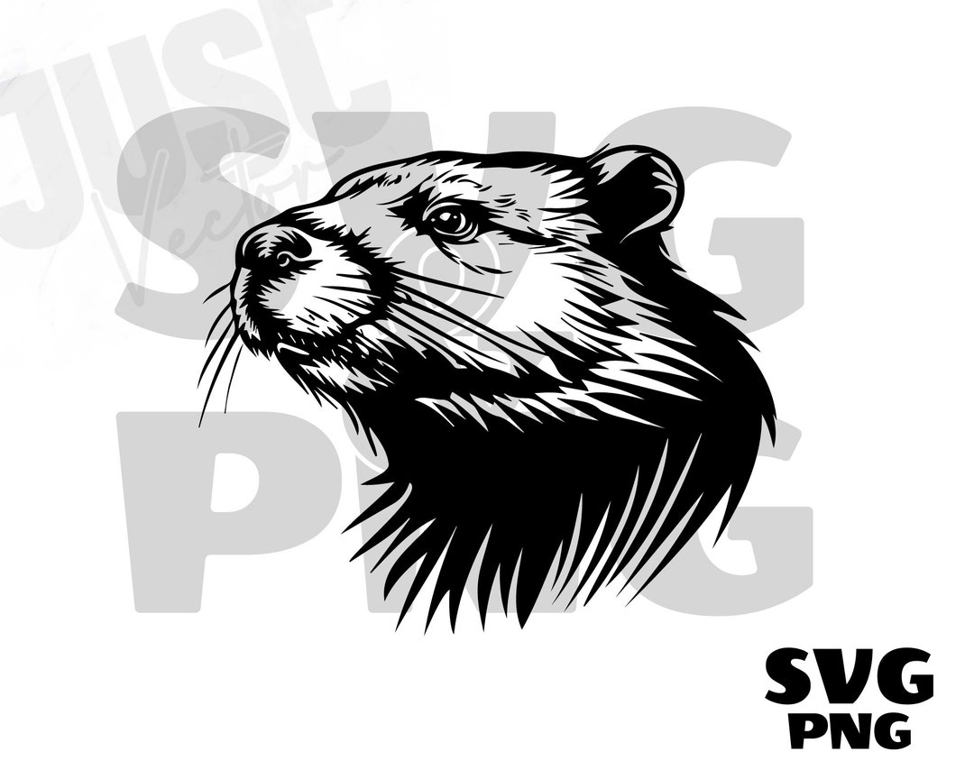 Beaver Svg, Beaver Face Svg, Beaver Head Svg, Beaver Silhouette, Beaver ...