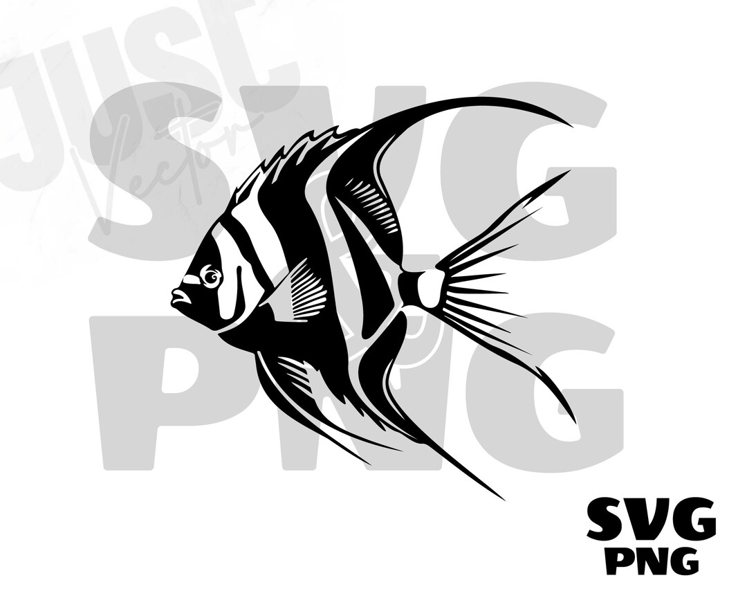 Angelfish SVG, Angelfish Silhouette, Angelfish Clipart, Fish Svg, Fish ...