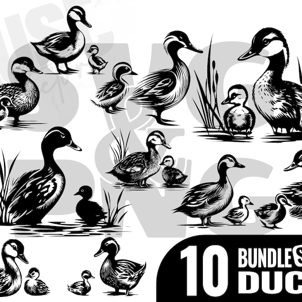 Duck Around and Find Out Svg - Etsy