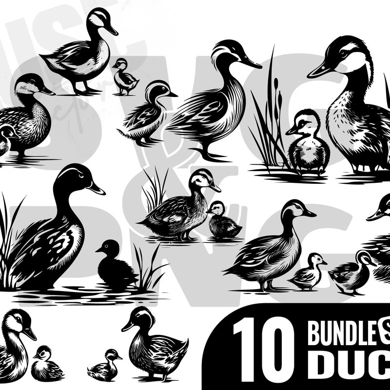 Duck Svg - Etsy