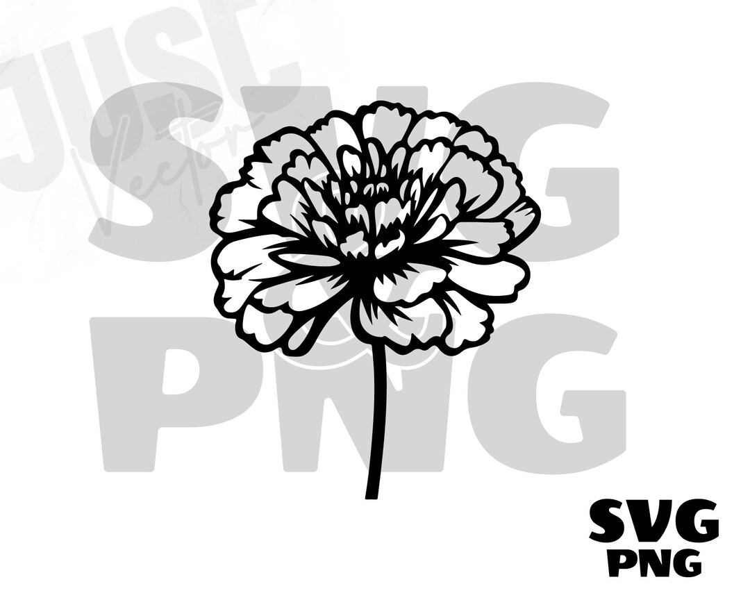 Marigold Flower SVG, Marigold Flower PNG, Marigold Flower Cricut ...