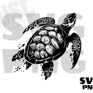Turtle Svg, Sea Turtle Svg, Bundle SVG, Simple Turtle Svg, Sea Turtle ...