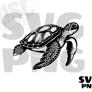 Turtle Svg, Sea Turtle Svg, Bundle SVG, Simple Turtle Svg, Sea Turtle ...
