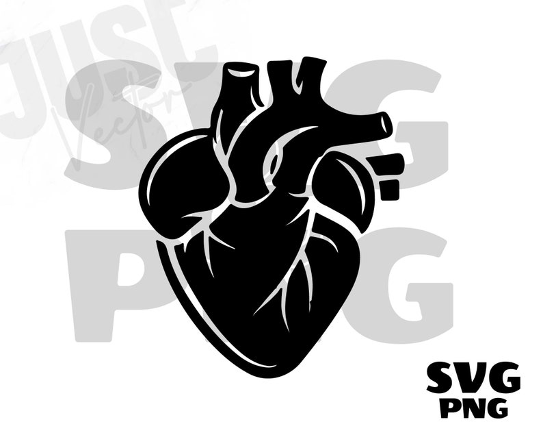 Anatomical Heart Svg, Heart Svg, Human Heart Clip Art Decal, Nurse Life ...