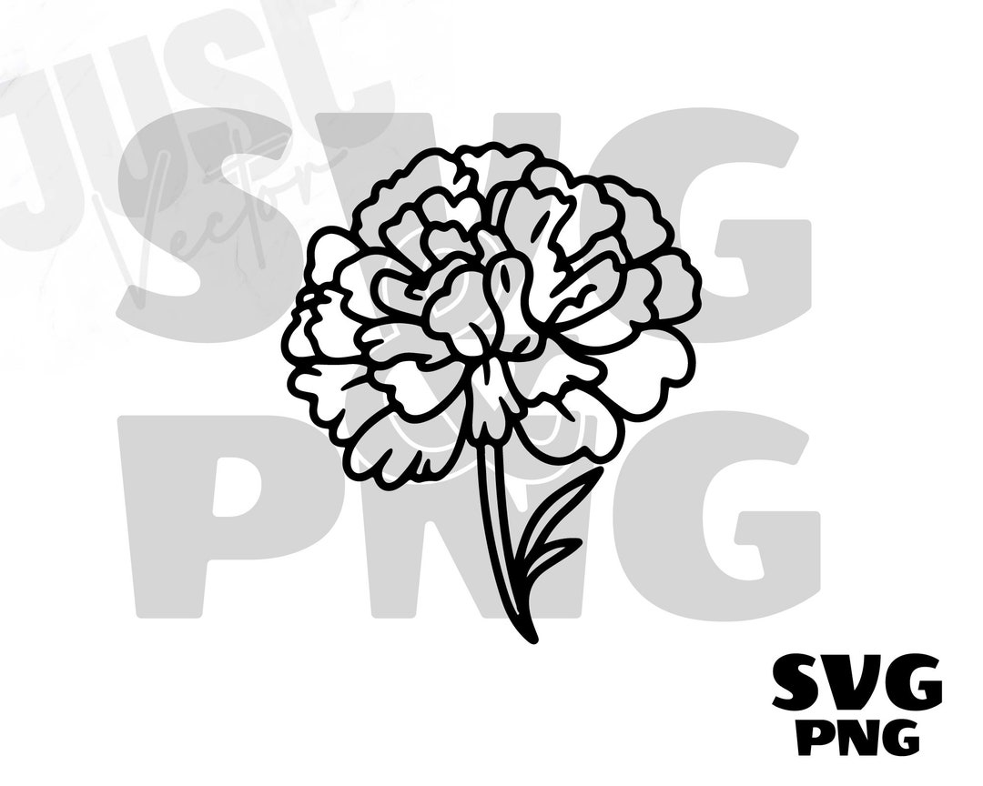 Marigold Flower SVG, Marigold Flower PNG, Marigold Flower Cricut ...