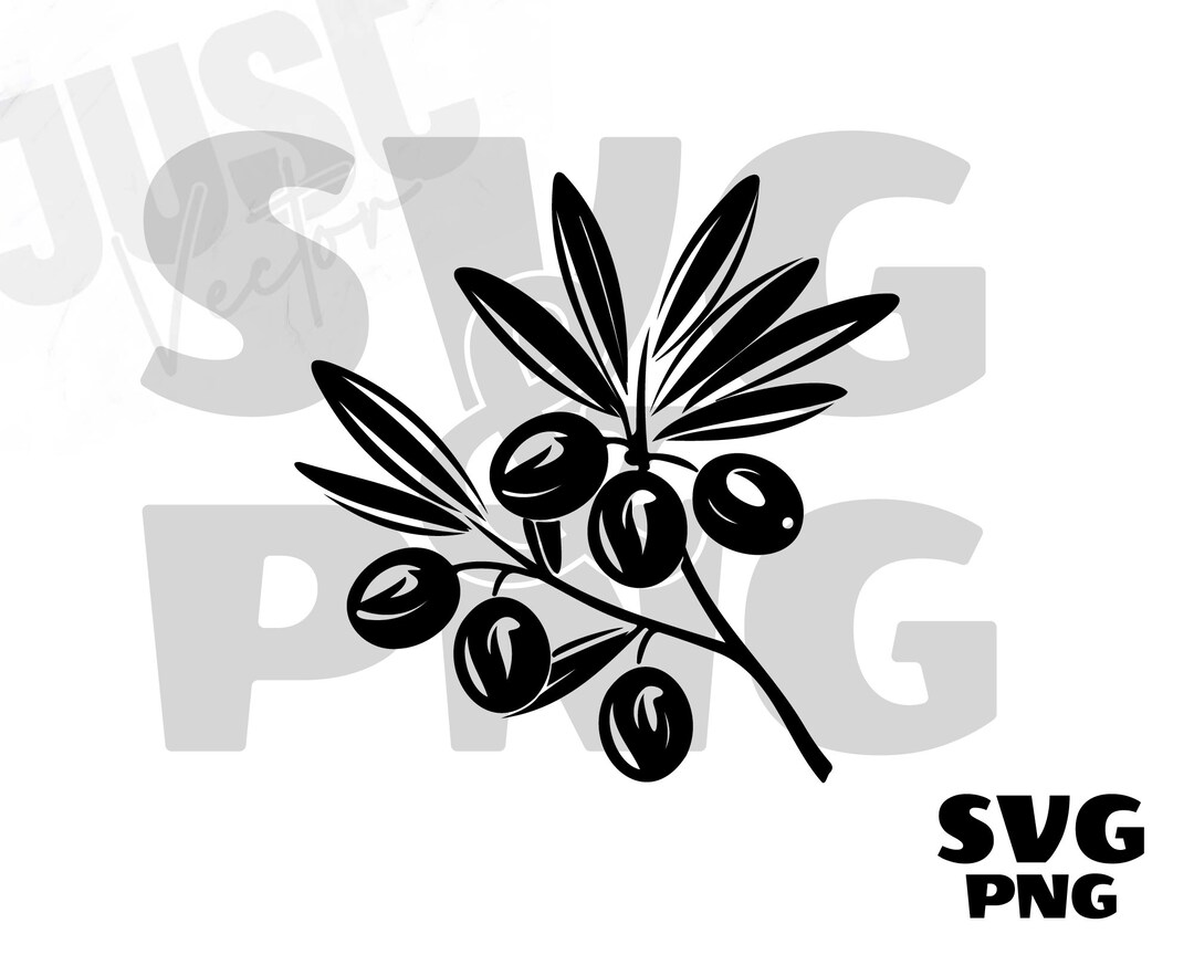 Olive SVG, Olive Branches Svg, Olive Clipart, Olive Cut File, Healthy ...