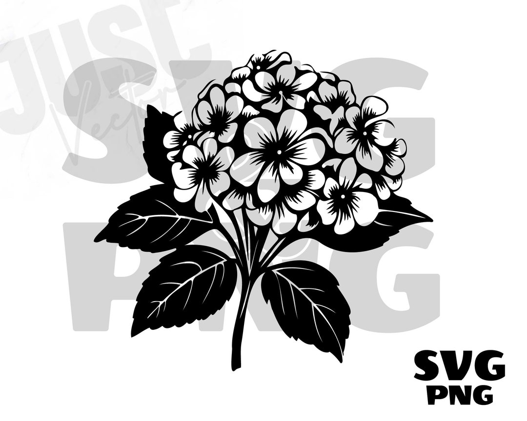 Hydrangea SVG, Hydrangea Flower SVG, Flower Cut Files, Flower Clipart ...