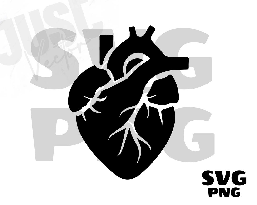Anatomical Heart Svg, Heart Svg, Human Heart Clip Art Decal, Nurse Life ...