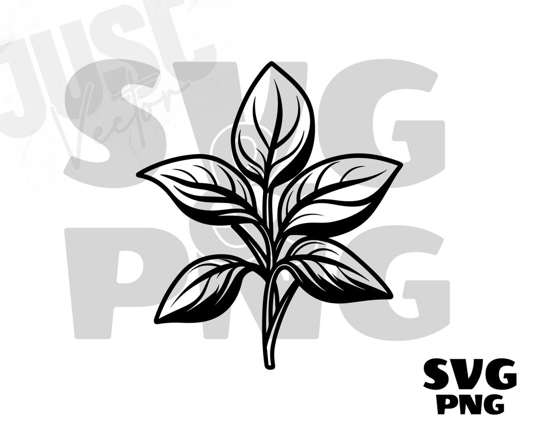 Basil Leaves, Basil SVG, Leaf SVG, Herbs SVG, Basil Clipart, Basil ...