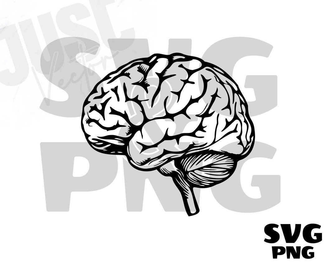 Anatomical Brain Svg, Brain Svg, Human Brain Svg, Brain Silhouette ...