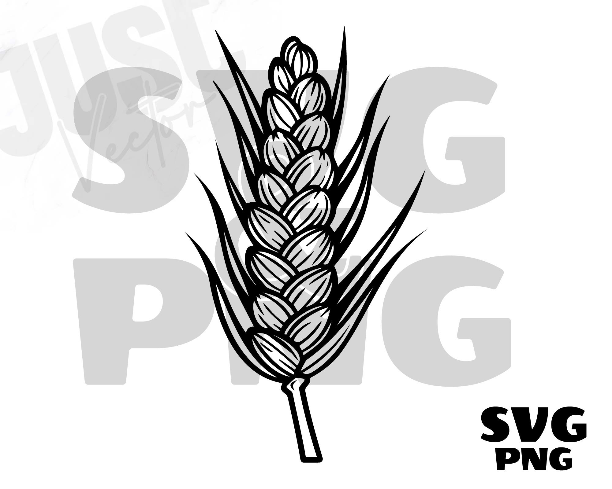 Wheat SVG, Barley Svg, Grain Clipart, Wheat Grass Cut File, Barley ...