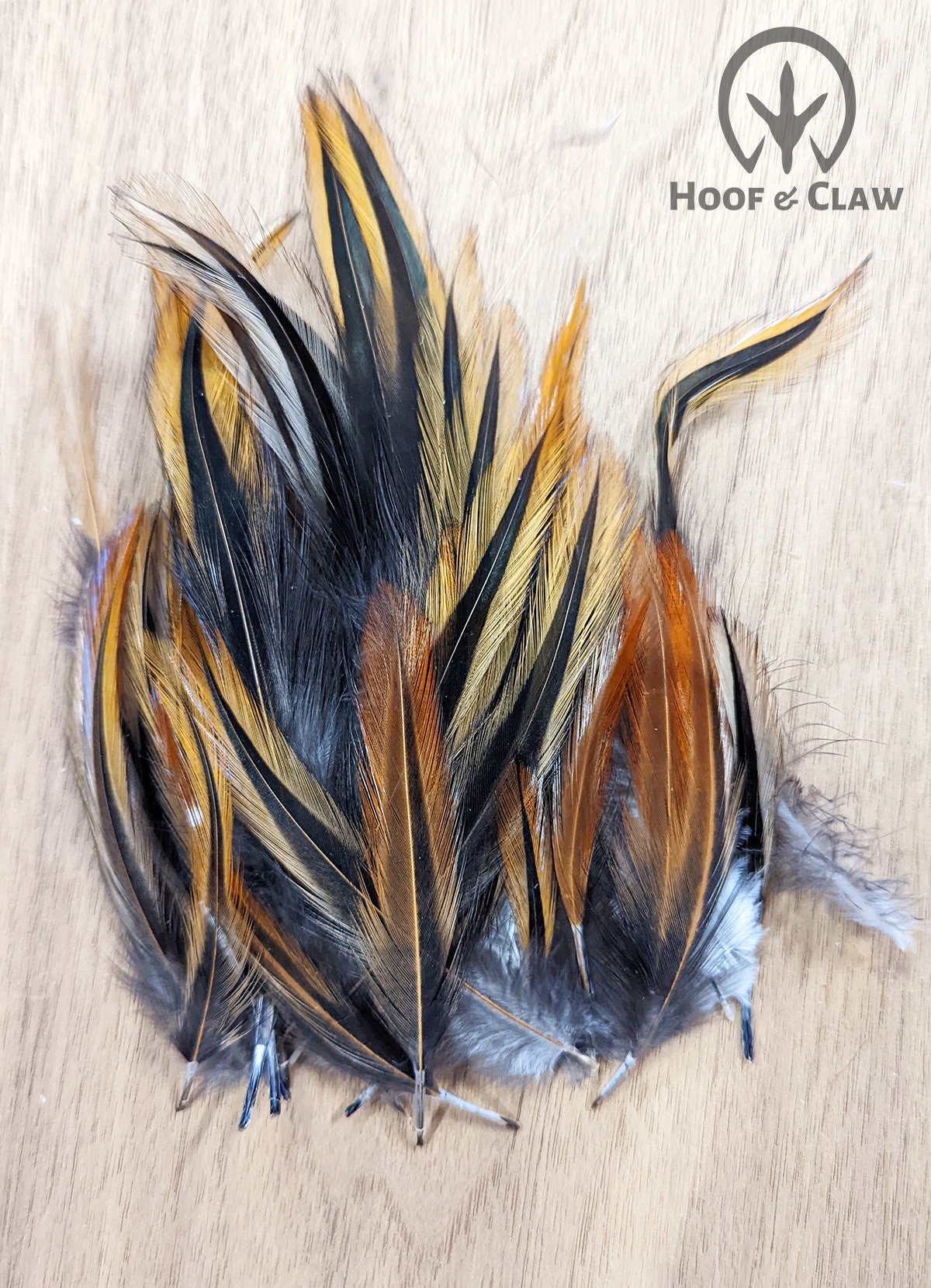 Colorful Rooster Saddle Hackle Feathers 40 Feathers Assorted - Etsy