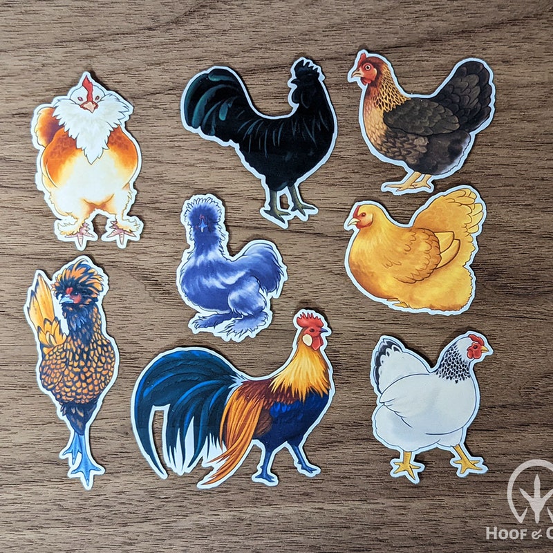 Chicken Stationary - Etsy