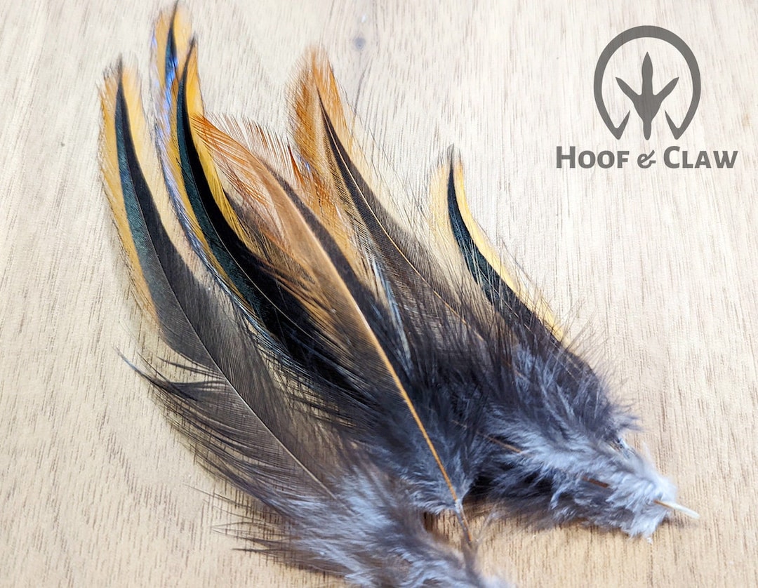 Colorful Rooster Saddle Hackle Feathers 40 Feathers, Assorted Sizes ...