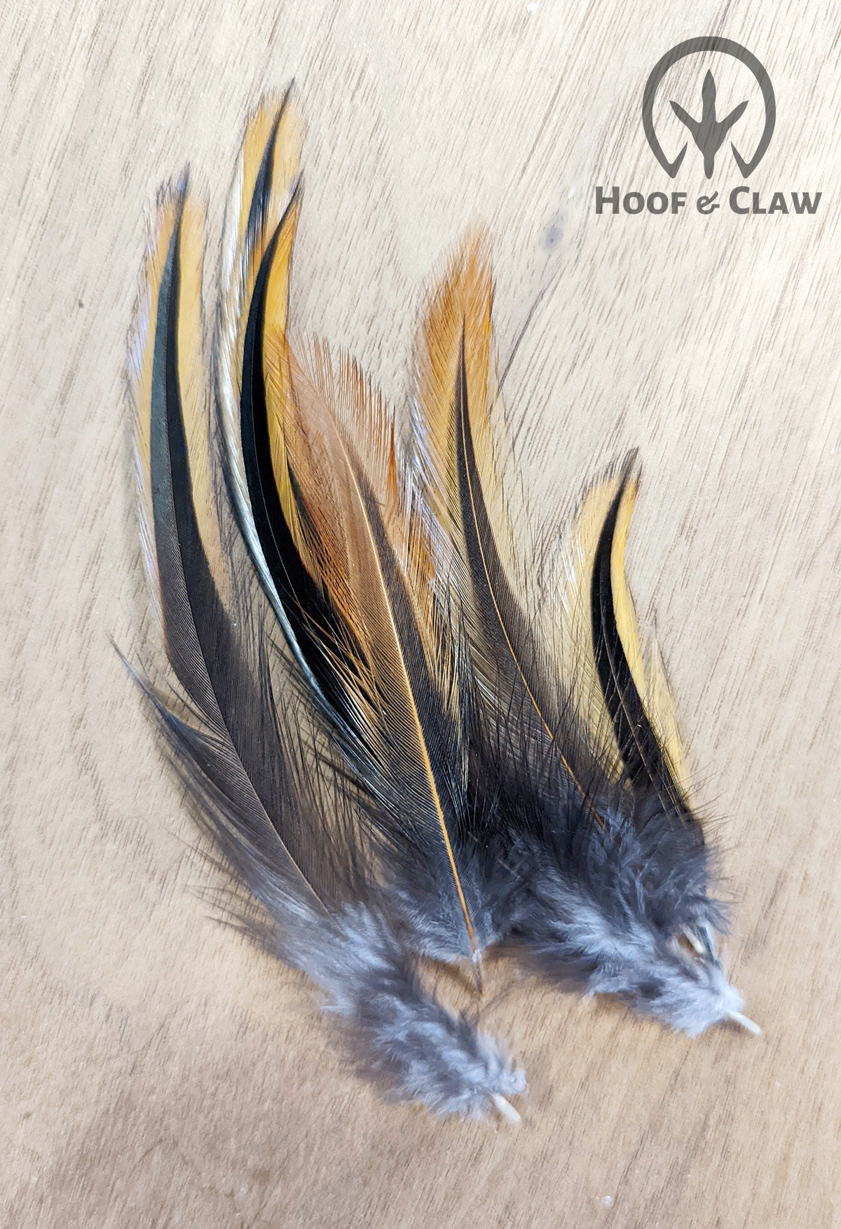 Colorful Rooster Saddle Hackle Feathers 40 Feathers Assorted - Etsy
