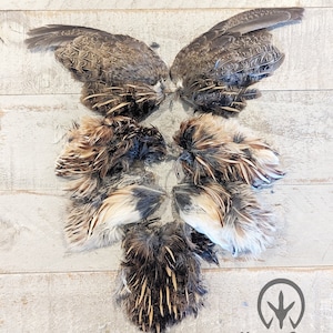 Dried Quail Wings & Pelt, Fresh Humanely Raised on Our Homestead, All ...