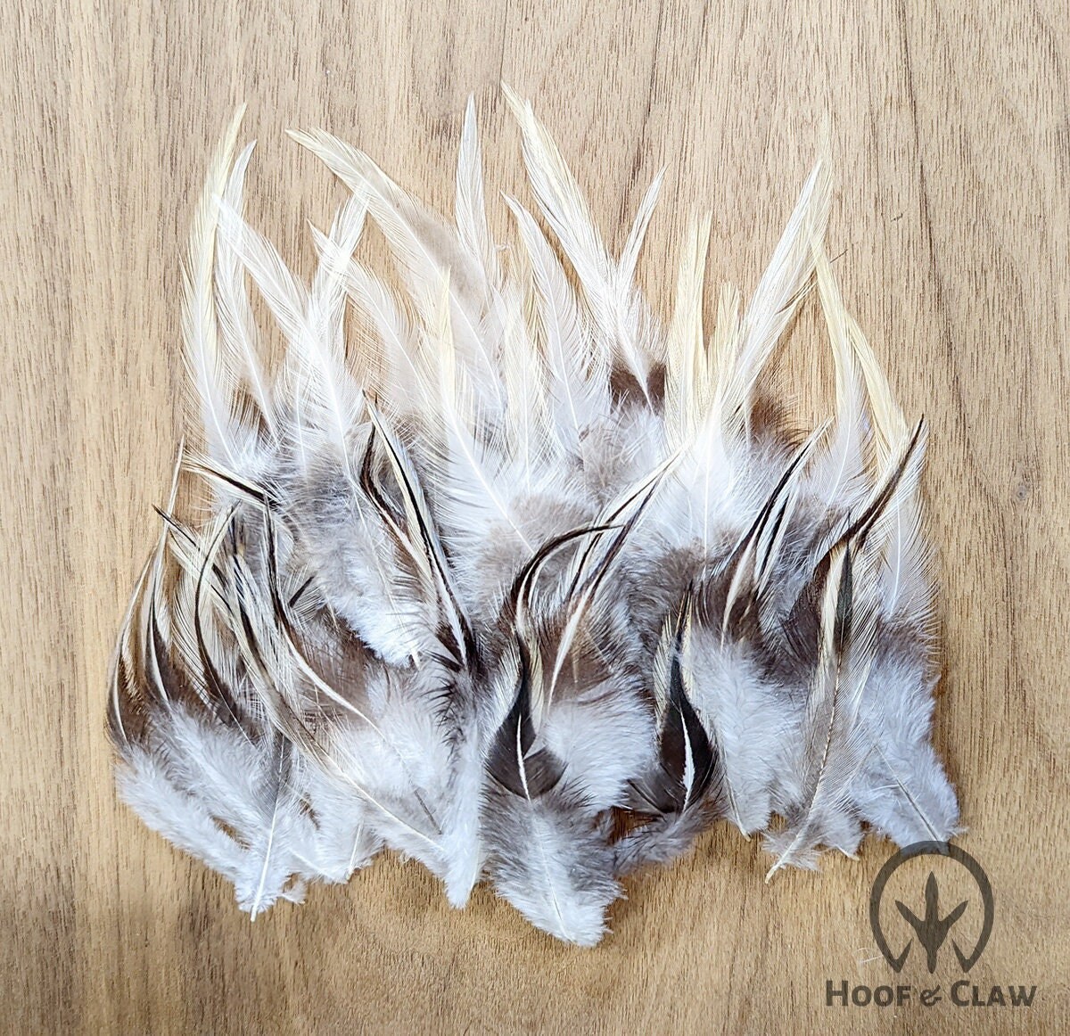 Colorful Rooster Saddle Hackle Feathers 40 Feathers Assorted - Etsy