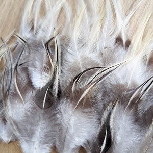 Colorful Rooster Saddle Hackle Feathers 40 Feathers, Assorted Sizes ...