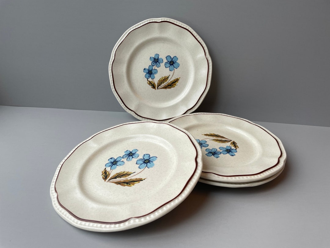 Kensington Staffordshire Ironstone Set Of Four Plates Etsy
