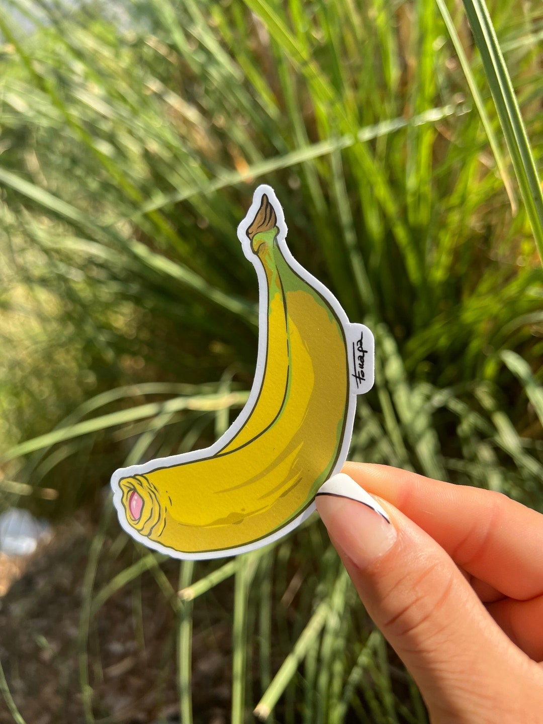 Banana Sticker - Adult Sticker - Filthy Sticker - Penis Sticker - Etsy