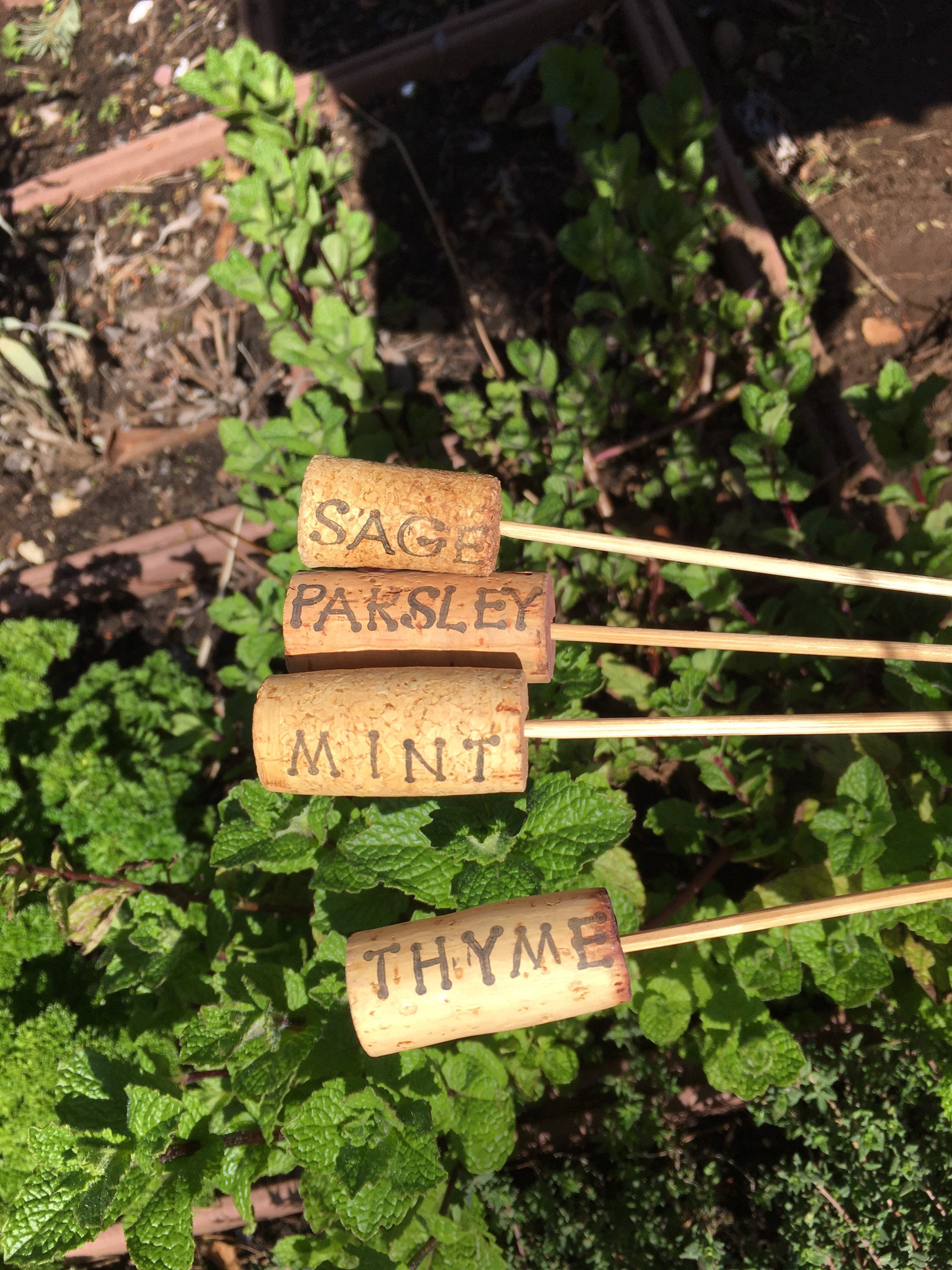 Personalized Herb Markers, (7) Plant Labels, Recycled Cork Plant ...