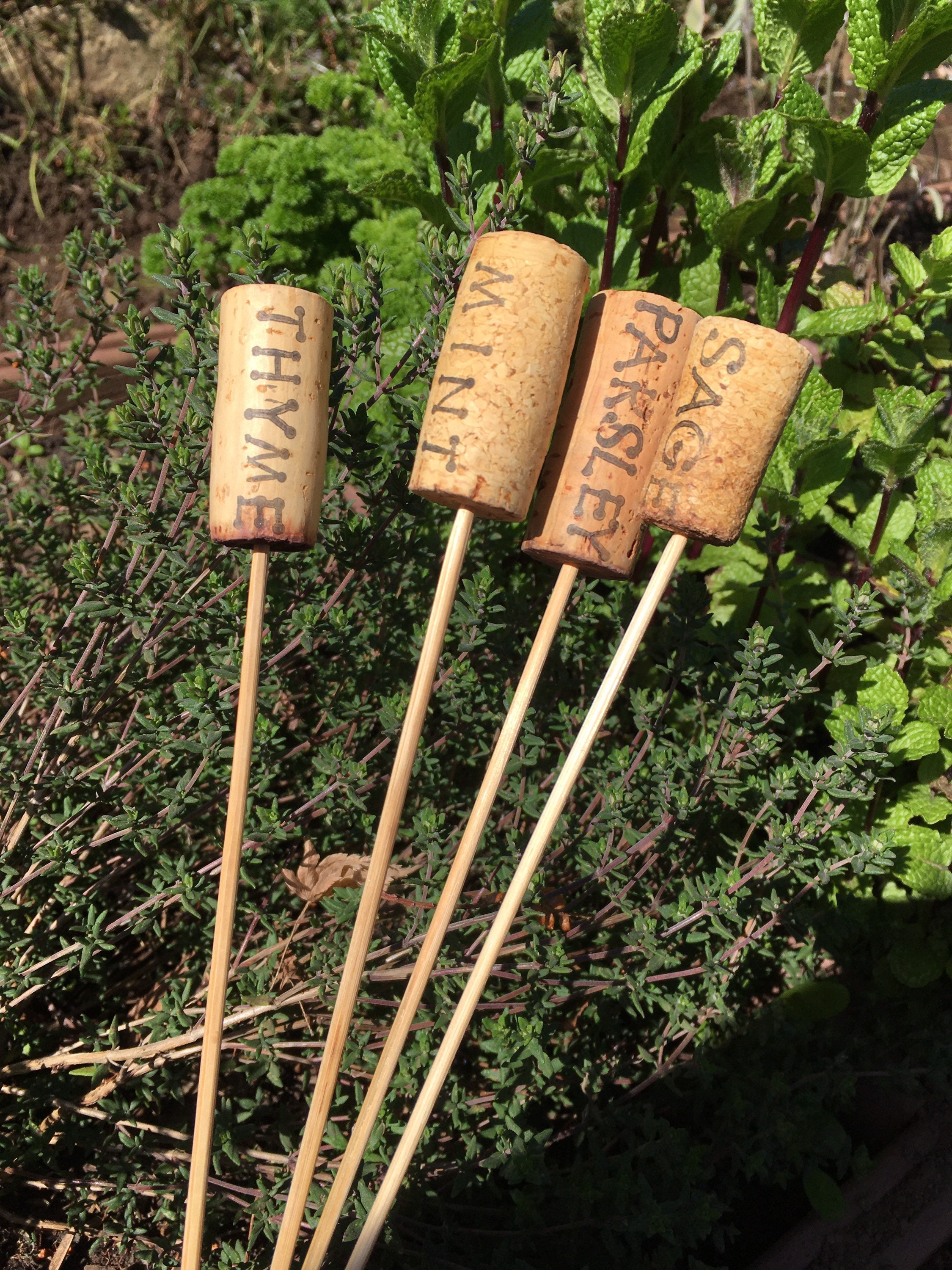 Personalized Herb Markers, (7) Plant Labels, Recycled Cork Plant ...