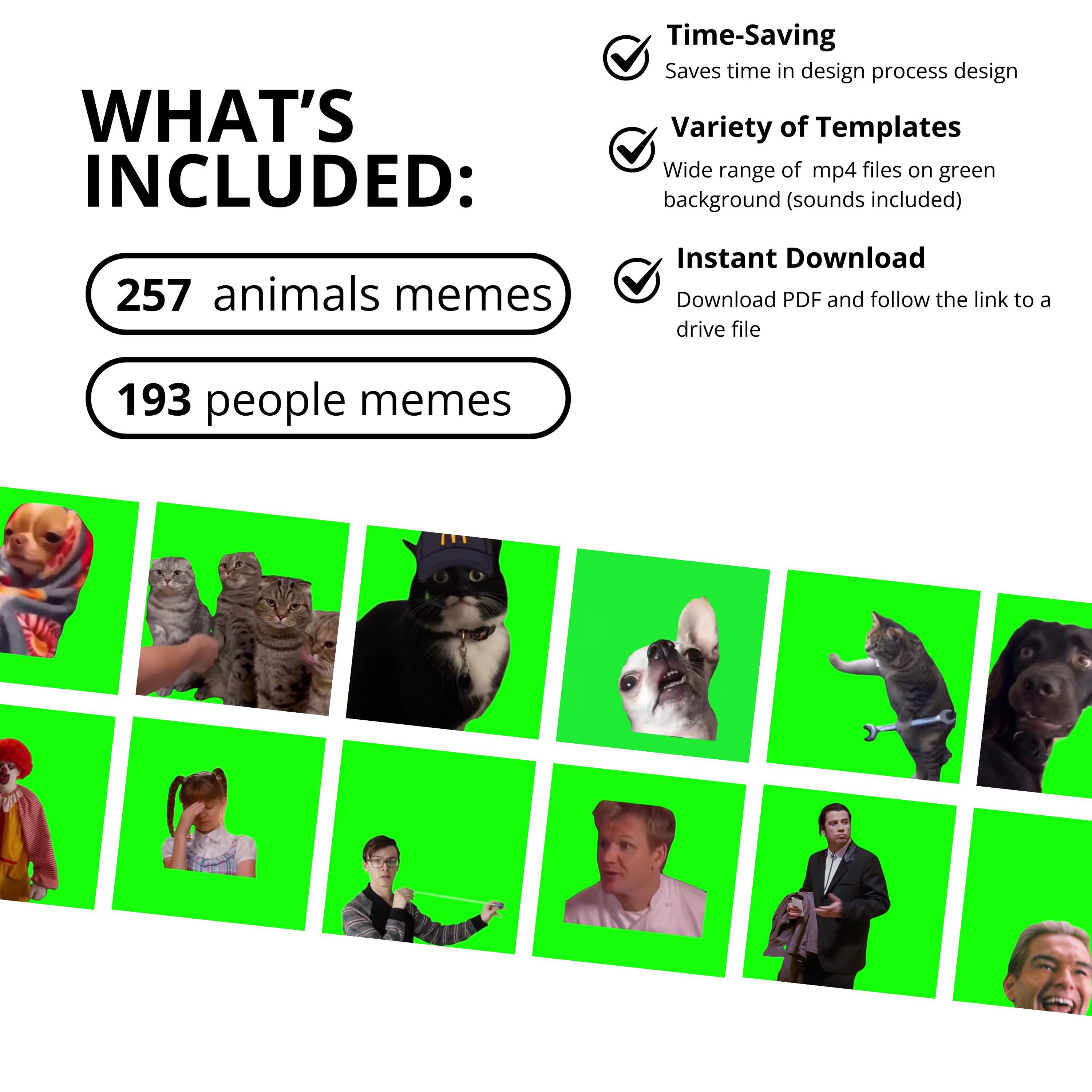 Meme Emote Pack Green Screen, Meme Bundle Video Green Background, Funny ...