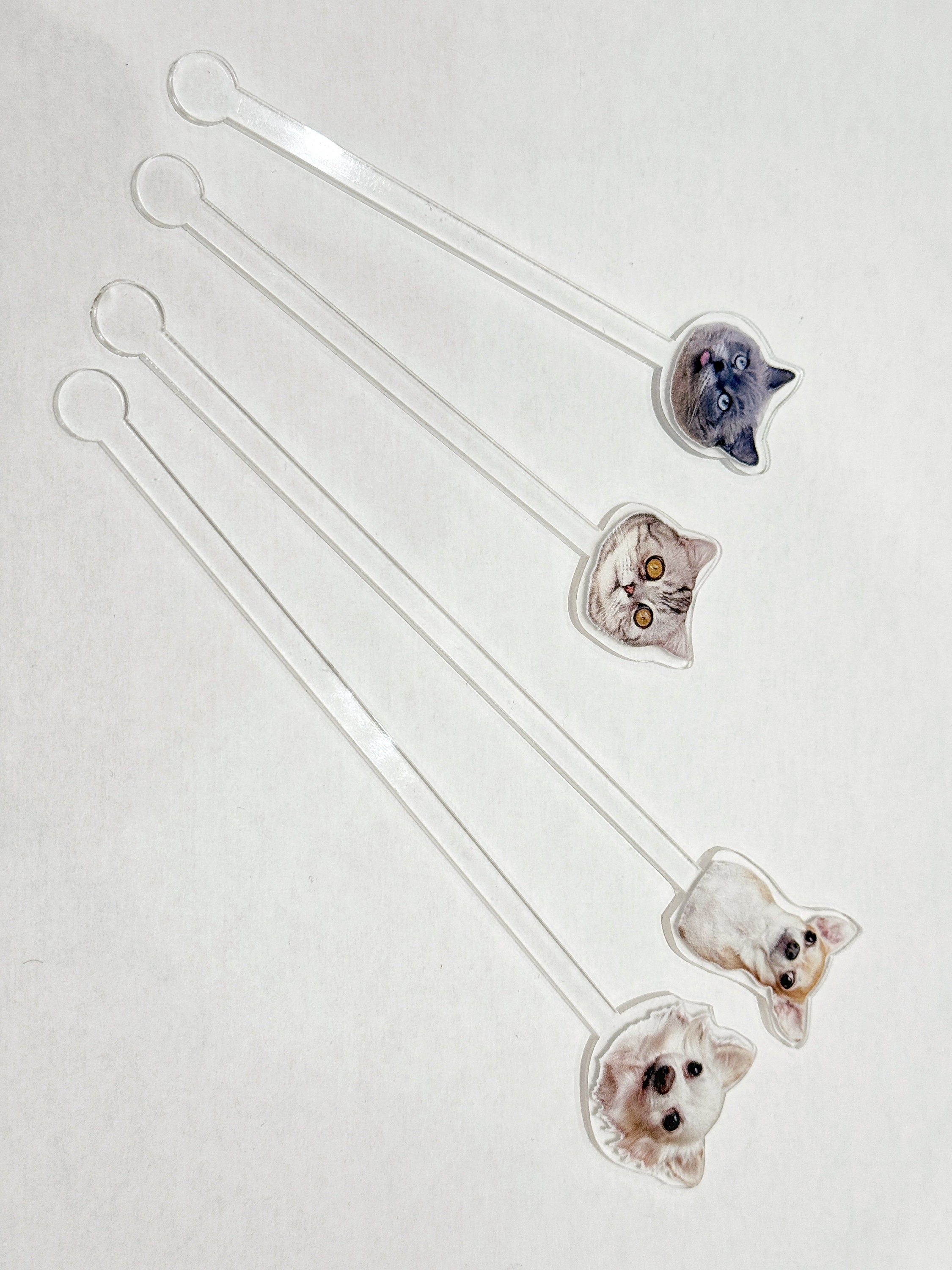 Signature Cocktails Stick, Custom Photo Drink Stirrer, Cat Pet Drink ...