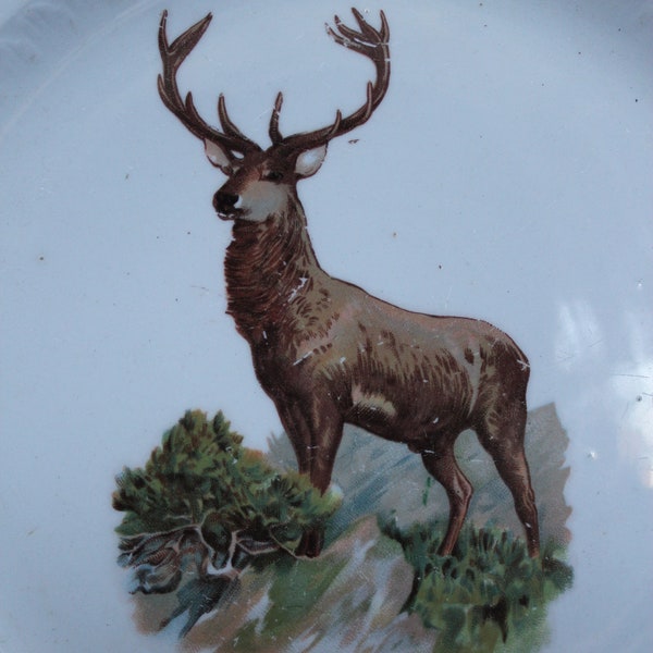 Deer Plate - Etsy