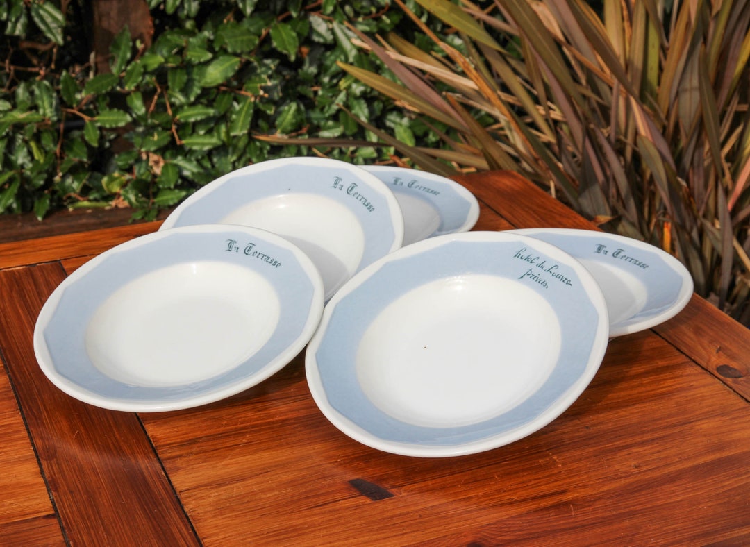 Set of 5 Vintage FRUGIER ALUMINITE Limoges Thick Porcelain Soup Plates ...
