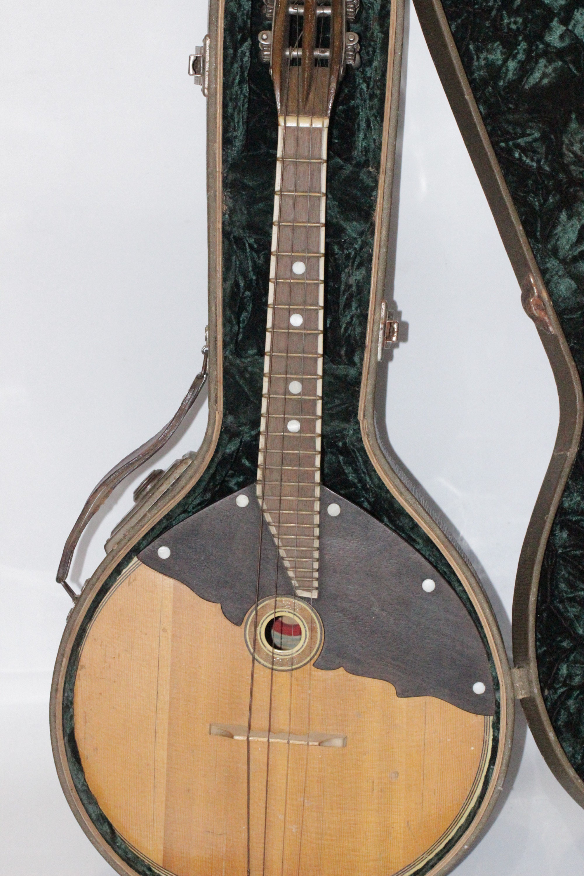 Custom Domra Domra exclusive Kharkov Armory House of the Red | Etsy