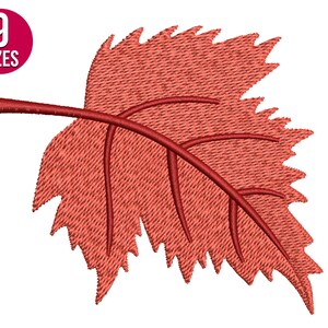 Fall Leaf Embroidery Design, Autumn Leaves, Maple Leaf, Machine ...