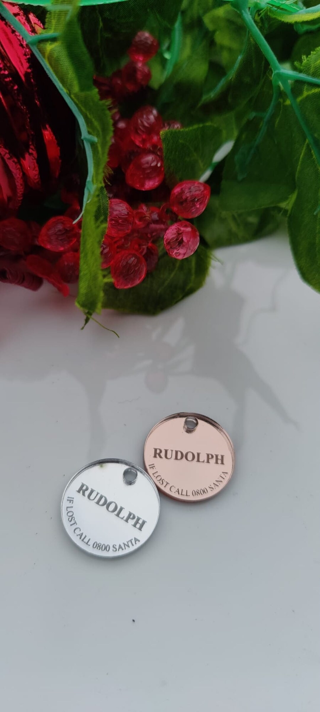 Rudolph's Lost Tag, Great Fun for Kids Stocking Filler Christmas Red ...