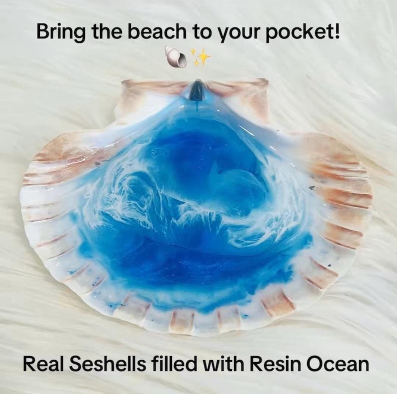 Ocean Resin Real Scallop Large Shell,home Decor, Beach Decor,ring ...